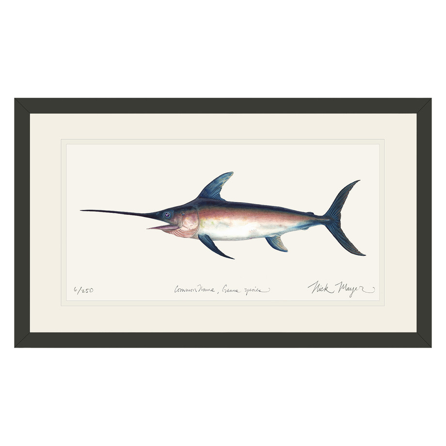 Nick Mayer Art - Detailed Fish Portraits - Touch of Modern