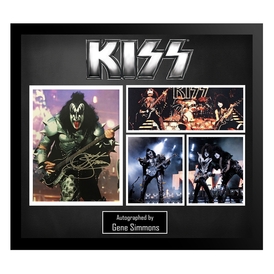 Rock Legends - Autographed Music Displays - Touch of Modern