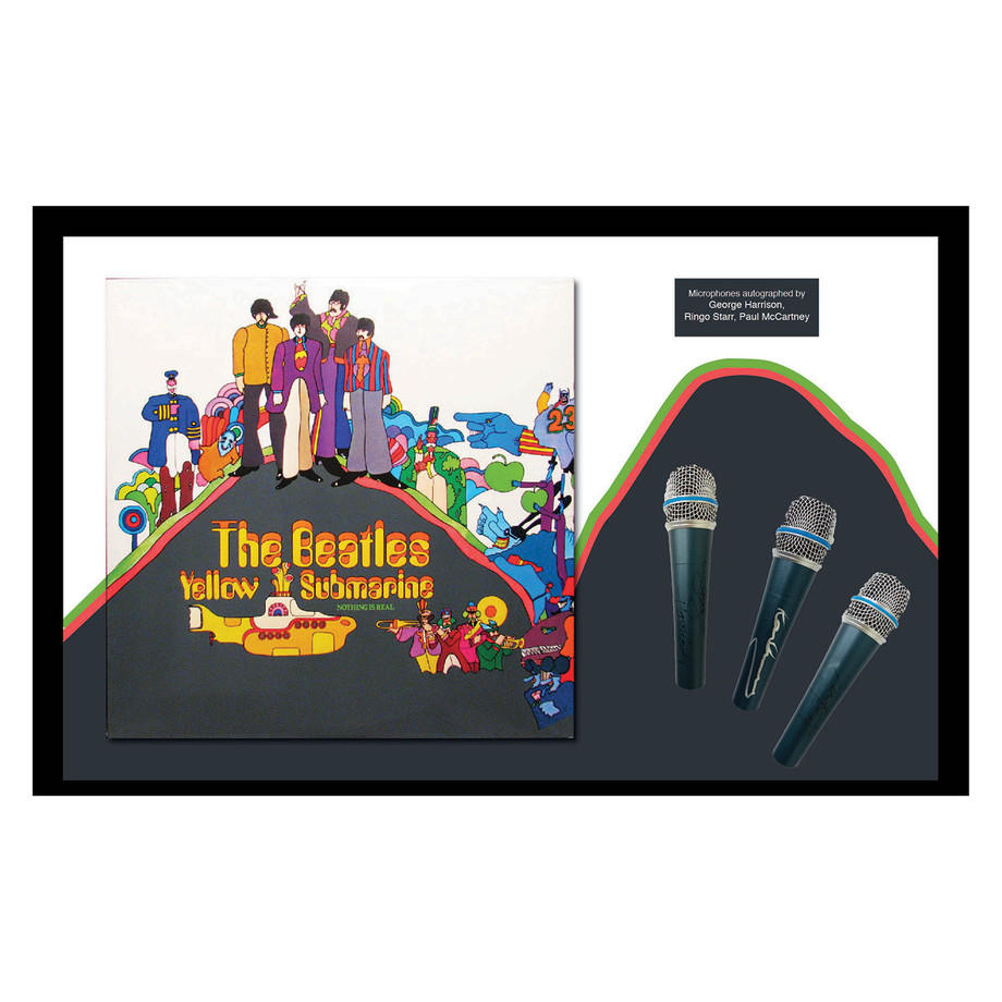Rock Legends - Autographed Music Displays - Touch of Modern