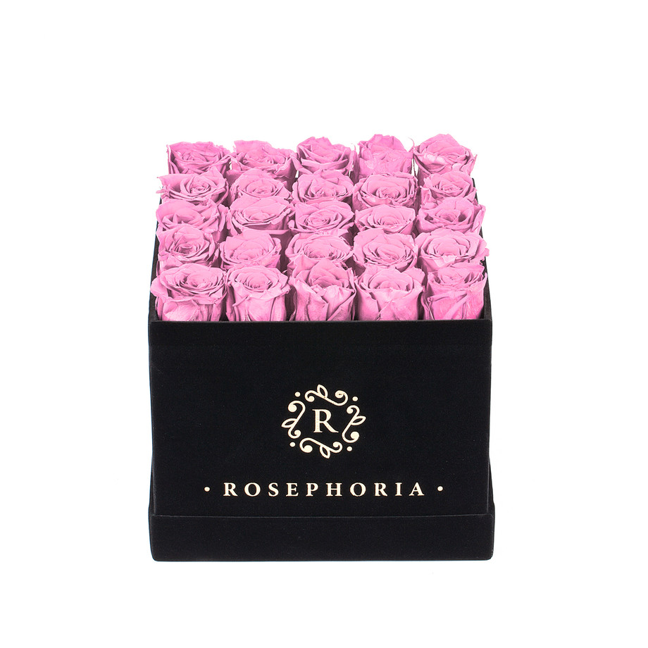 ROSEPHORIA - Everlasting Roses - Touch of Modern