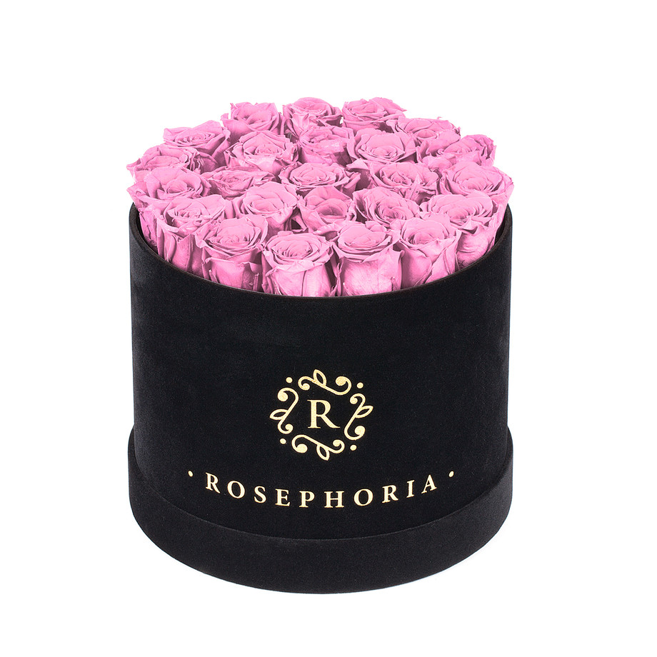 ROSEPHORIA - Everlasting Roses - Touch of Modern