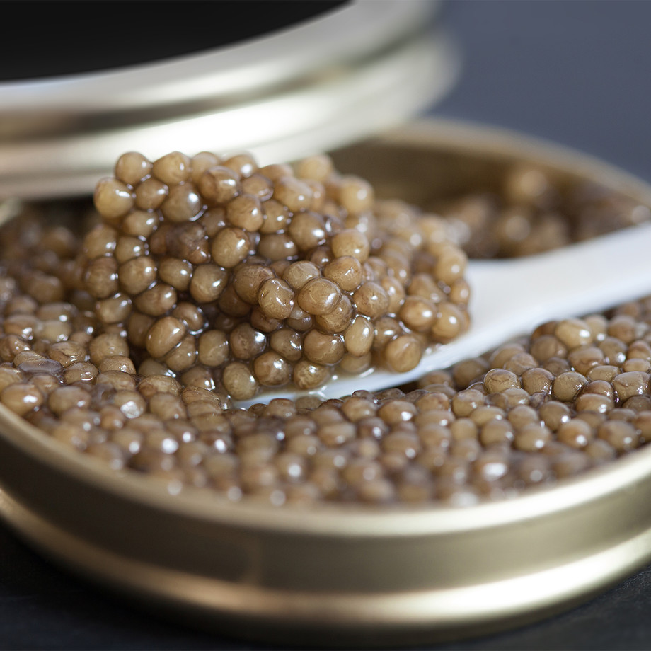 The Caviar Company - Sustainably-Sourced Caviar - Touch of Modern