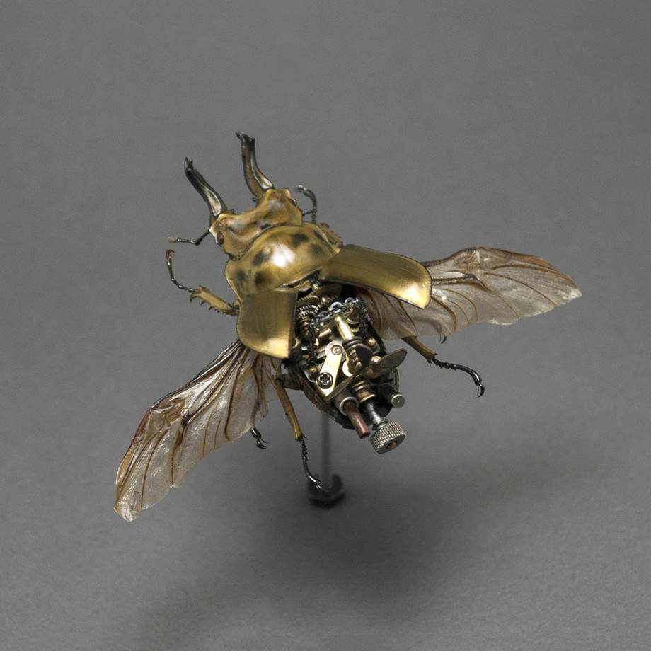 Insect Lab - Custom Mechanical Insect Sculptures - Touch of Modern