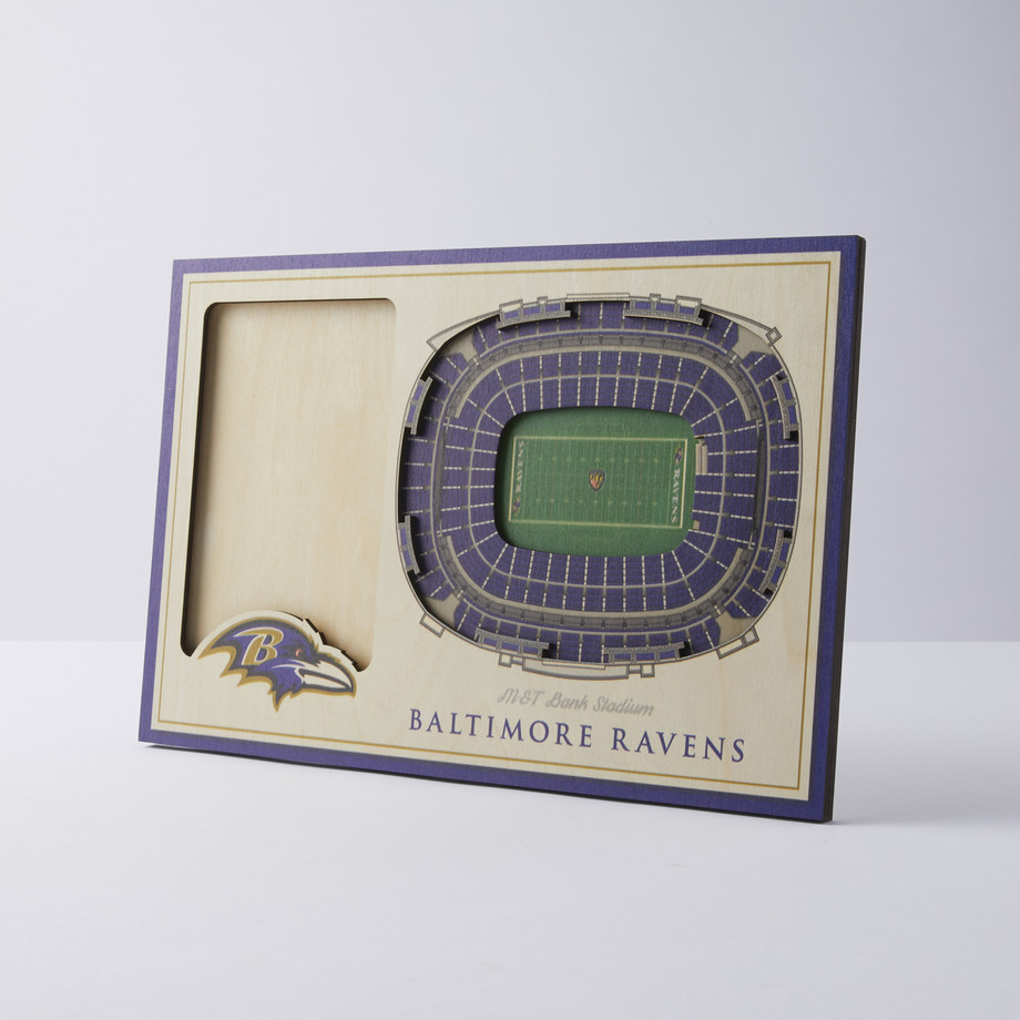 You The Fan - Licensed NFL Stadium Photo Frames - Touch of Modern
