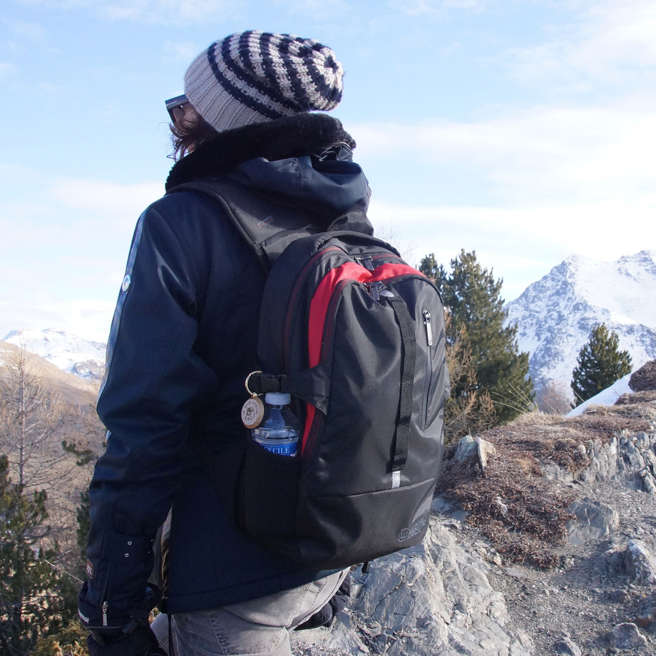 Wolffepack - Revolving Backpacks - Touch of Modern