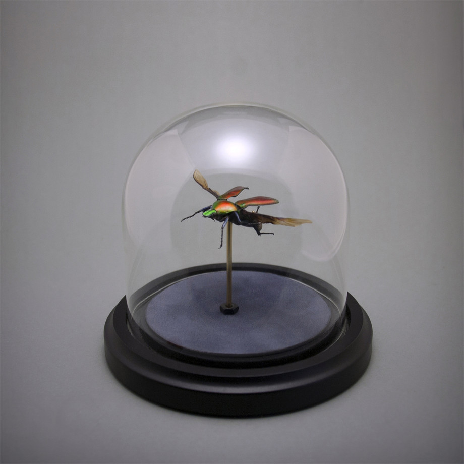 Insect Lab - Custom Mechanical Insect Sculptures - Touch of Modern