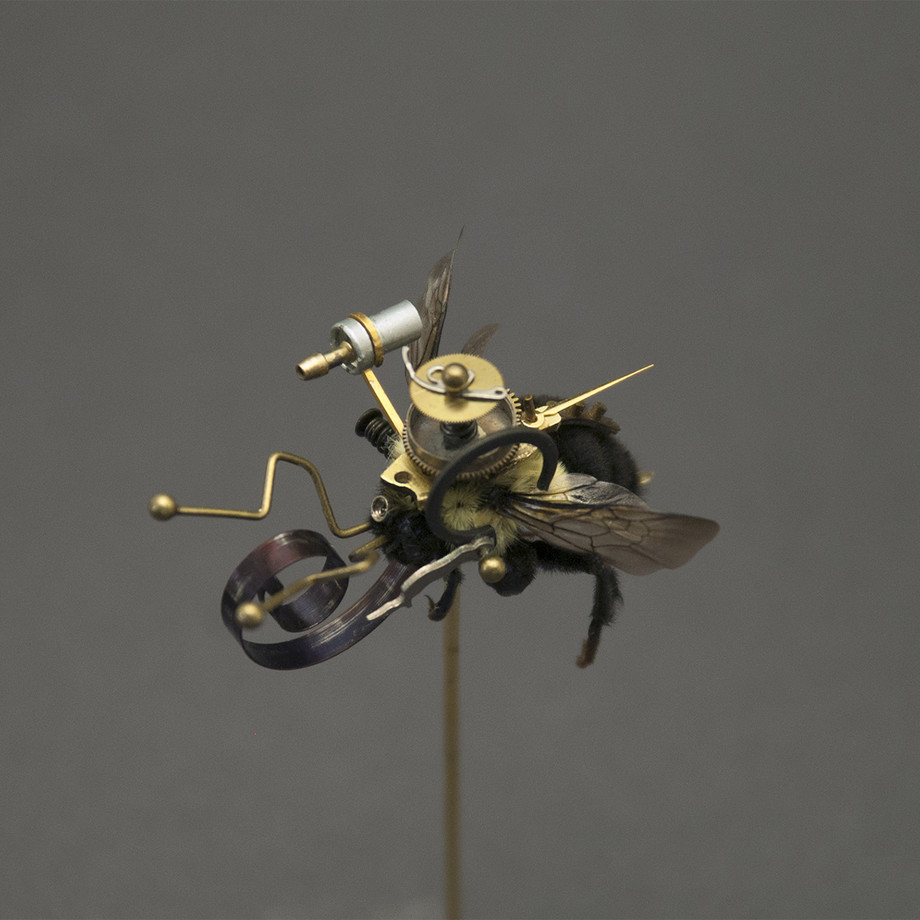 Insect Lab - Mechanical Insect Sculptures - Touch of Modern