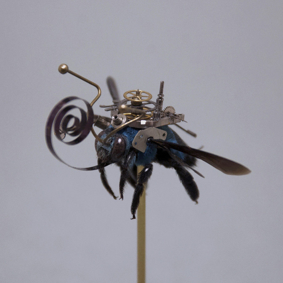 Insect Lab - Custom Mechanical Insect Sculptures - Touch of Modern