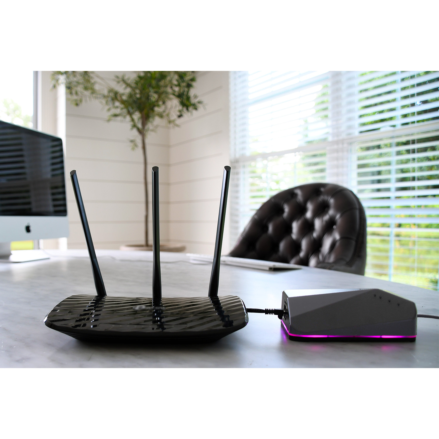 Syfer - Syfer - Touch of Modern