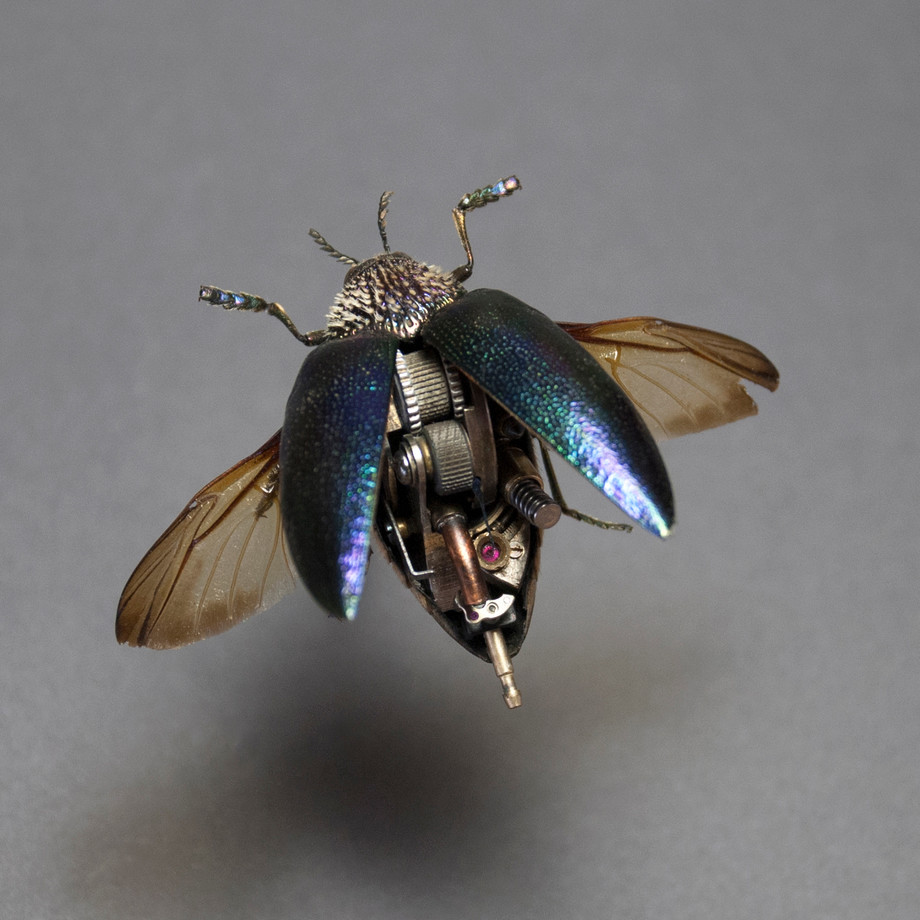 Insect Lab - Custom Mechanical Insect Sculptures - Touch of Modern