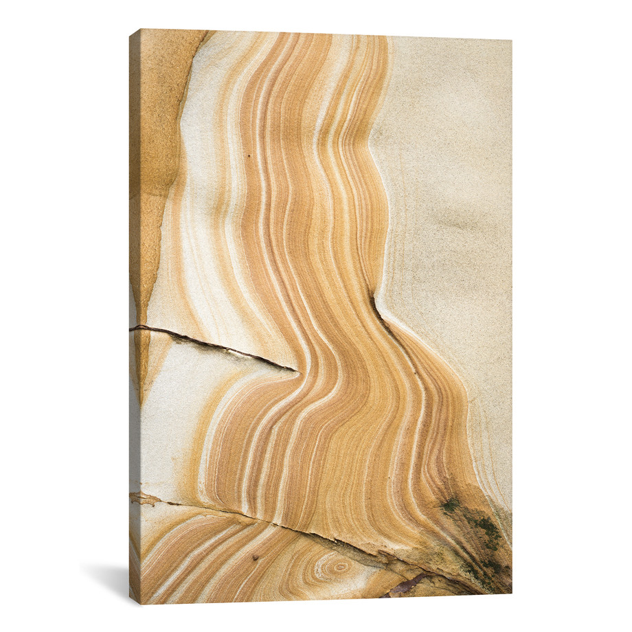 RAW Walls - Nature-Inspired Canvas Prints - Touch of Modern