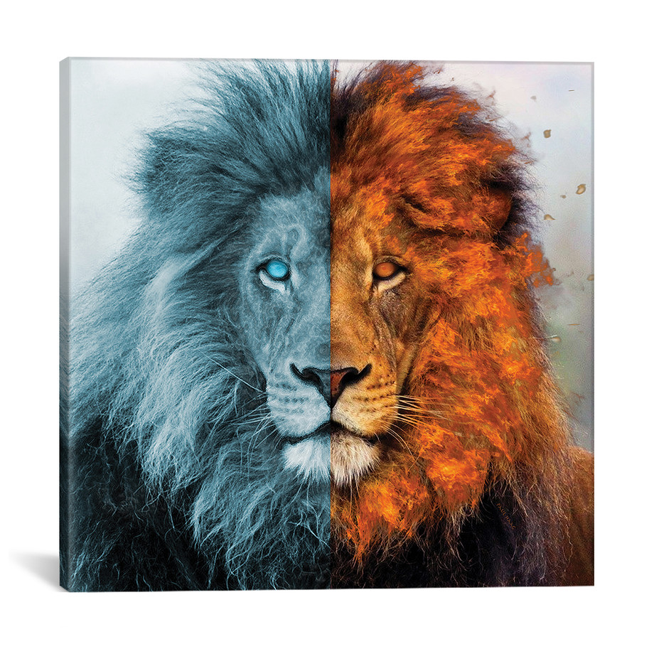 High Contrast - Orange and Blue - Powerful Canvas Prints - Touch of Modern