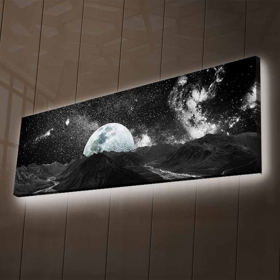 Wallity - LED Canvas Art - Touch of Modern