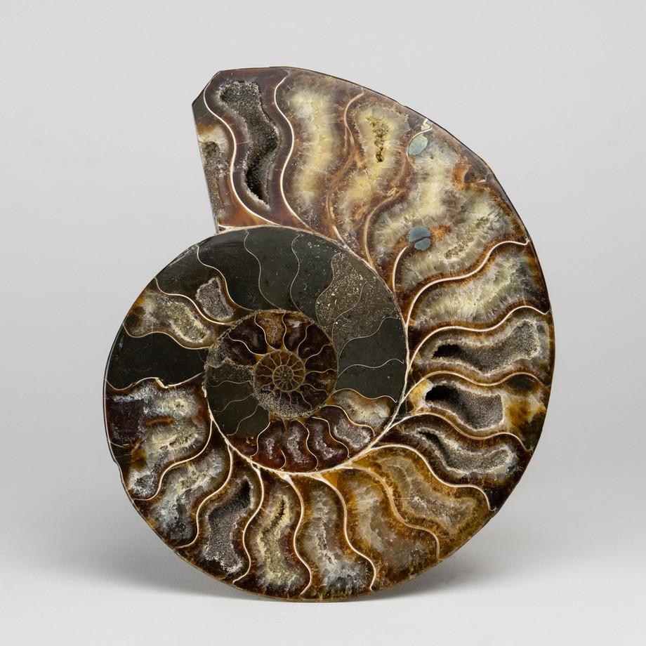 Astro Gallery - Crystals + Specimen Displays - Touch of Modern