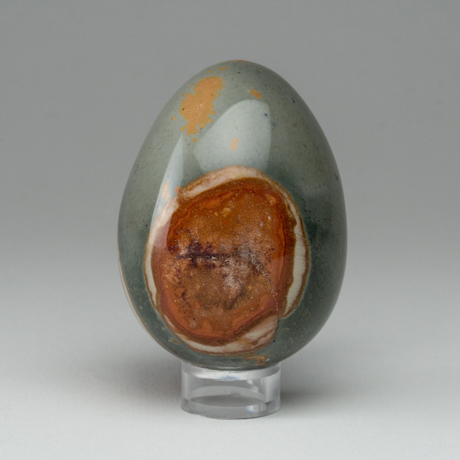 Astro Gallery - Crystals + Specimen Displays - Touch of Modern