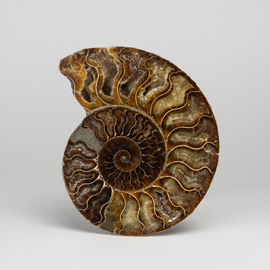 Astro Gallery - Crystals + Specimen Displays - Touch of Modern