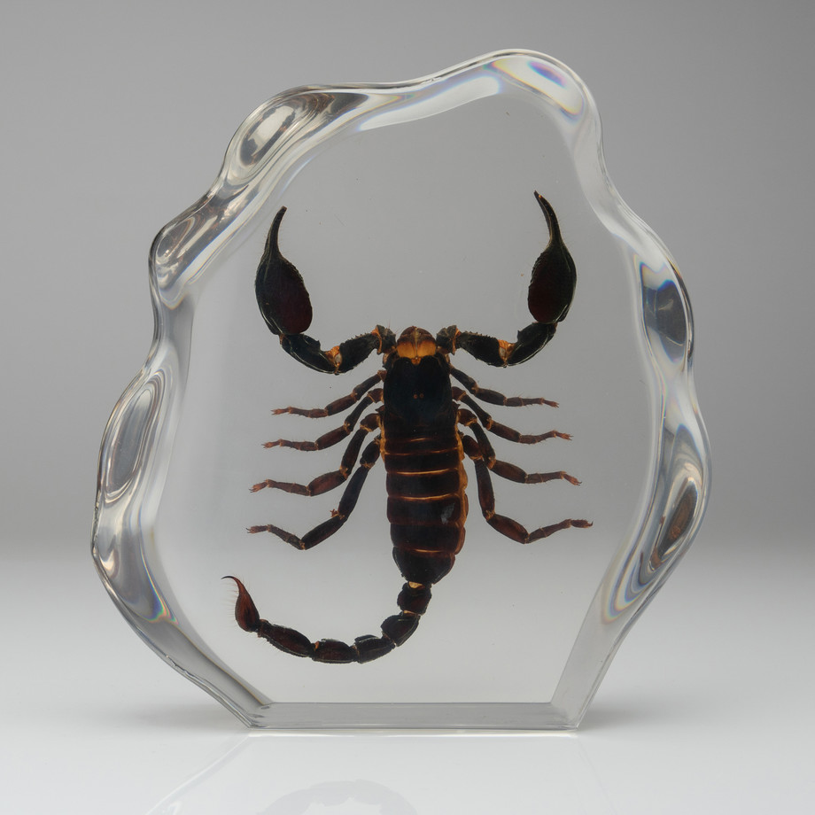 Astro Gallery - Crystals + Specimen Displays - Touch of Modern