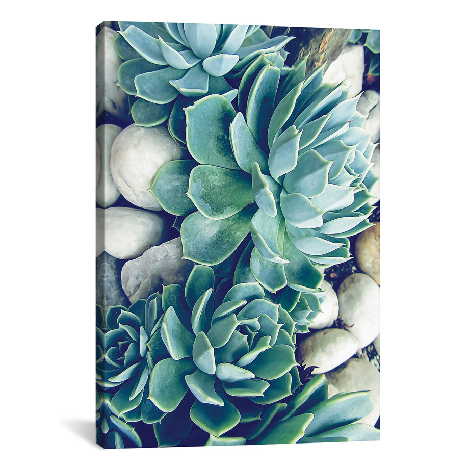 Fresh Art Drop - Eclectic Canvas Prints - Touch of Modern