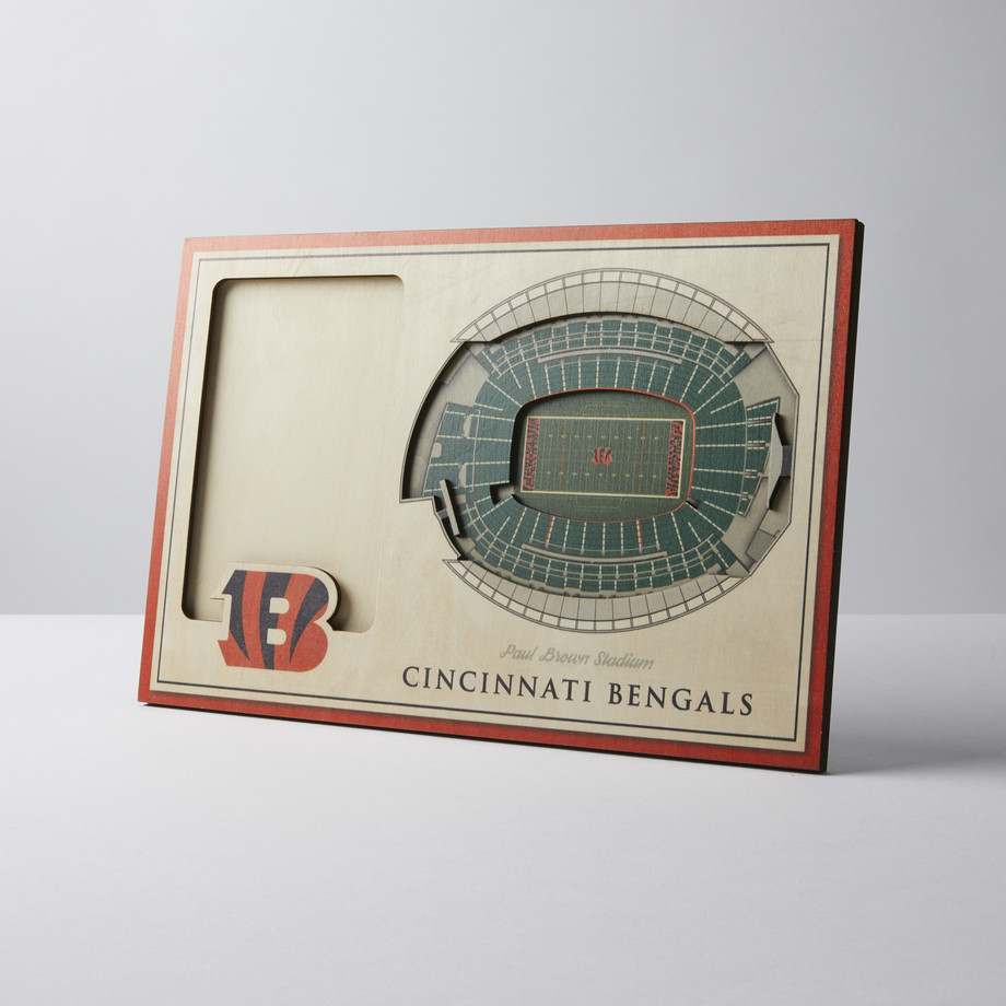 You The Fan - Licensed NFL Stadium Photo Frames - Touch of Modern