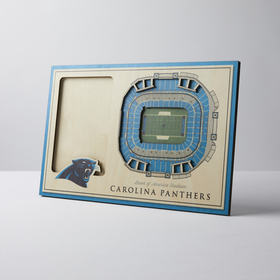 You The Fan - Licensed NFL Stadium Photo Frames - Touch of Modern