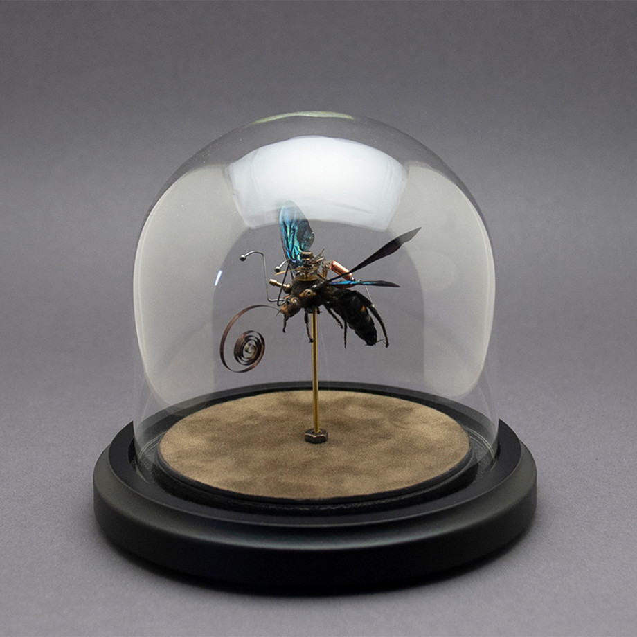 Insect Lab - Custom Mechanical Insect Sculptures - Touch of Modern