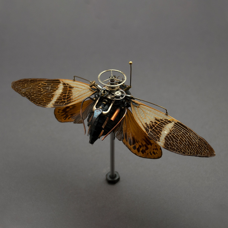 Insect Lab - Custom Mechanical Insect Sculptures - Touch of Modern