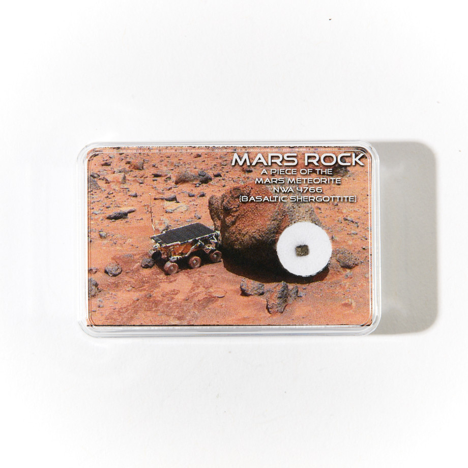 Ancient Resource - Collectibles & Antiquities - Touch of Modern