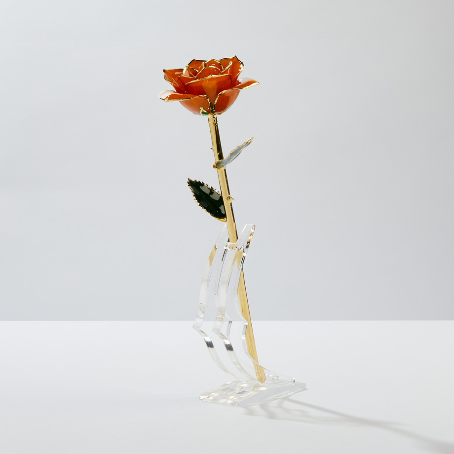 Eternal Rose - Everlasting Gold Dipped Roses - Touch of Modern