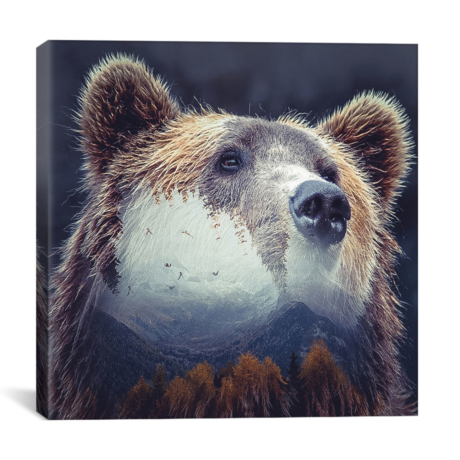 Paul Haag - Double Exposure Canvas Prints - Touch of Modern