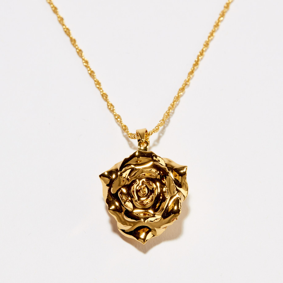 Eternal Rose Necklaces - An Everlasting Symbol Of Love - Touch of Modern