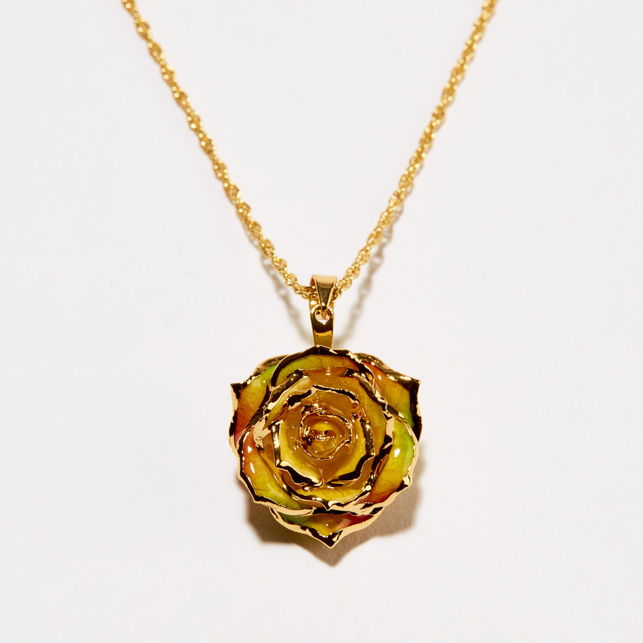 Eternal Rose Necklaces - An Everlasting Symbol Of Love - Touch of Modern