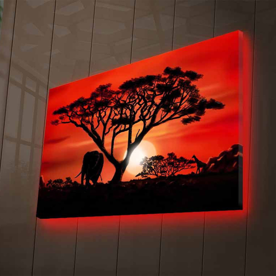 Wallity - LED Canvas Art - Touch of Modern