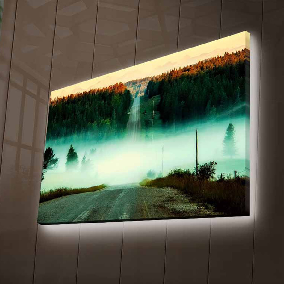 Wallity - LED Canvas Art - Touch of Modern