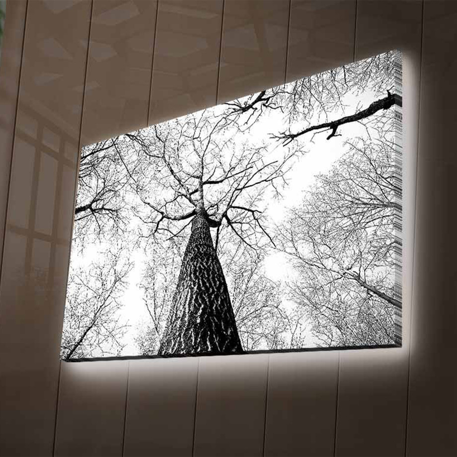 Wallity - LED Canvas Art - Touch of Modern