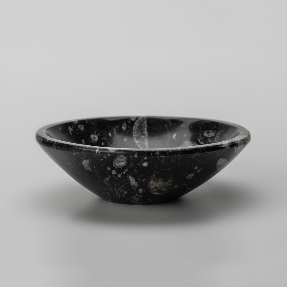 Astro Gallery - Crystal & Fossil Displays - Touch of Modern