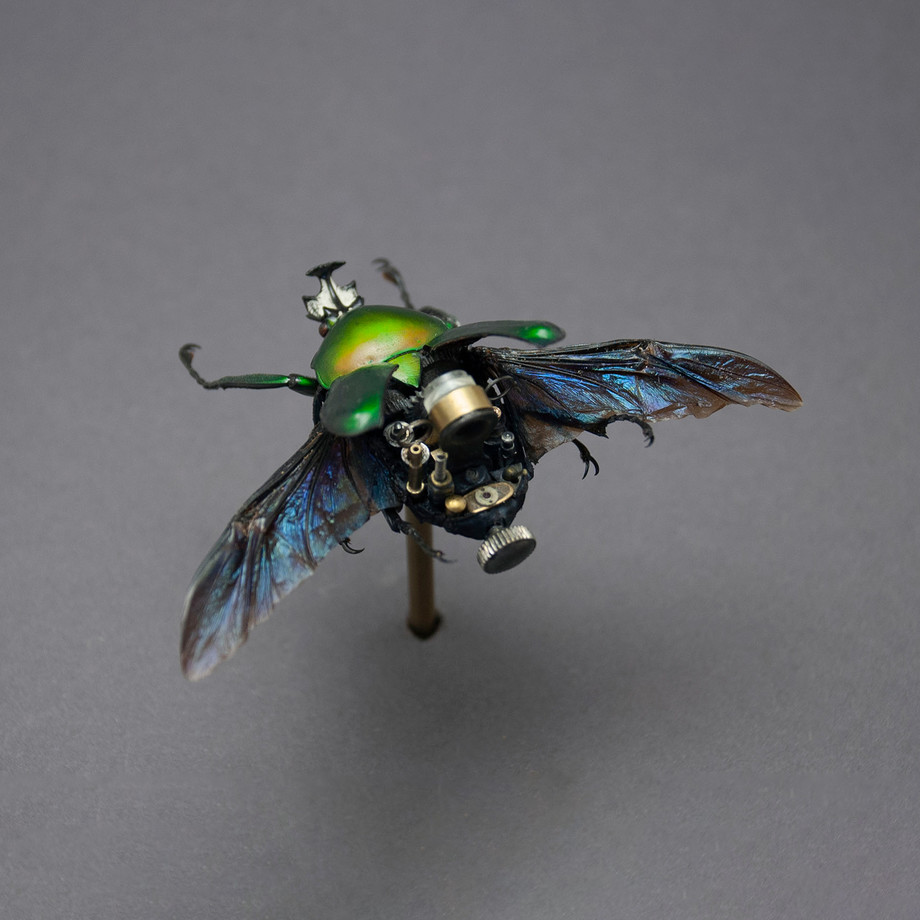 Insect Lab - Custom Mechanical Insect Sculptures - Touch of Modern