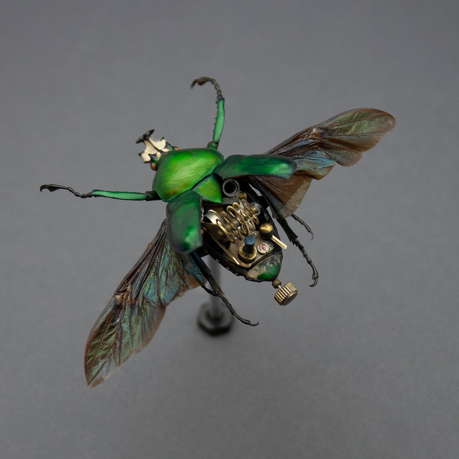 Insect Lab - Biomechanical Insect Sculptures - Touch of Modern