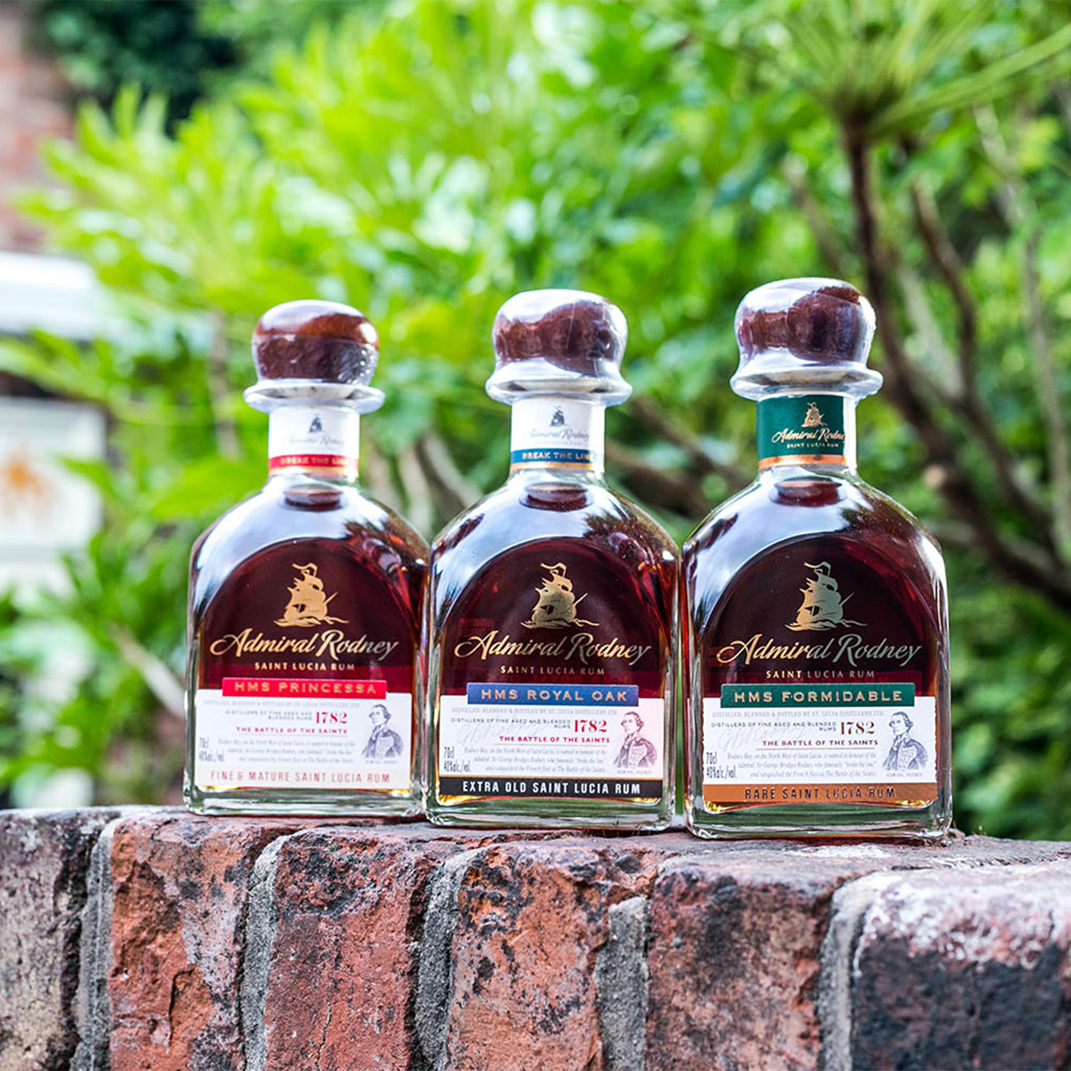 Saint Lucia Rums // Set of 3 - Admiral Rodney - Touch of Modern