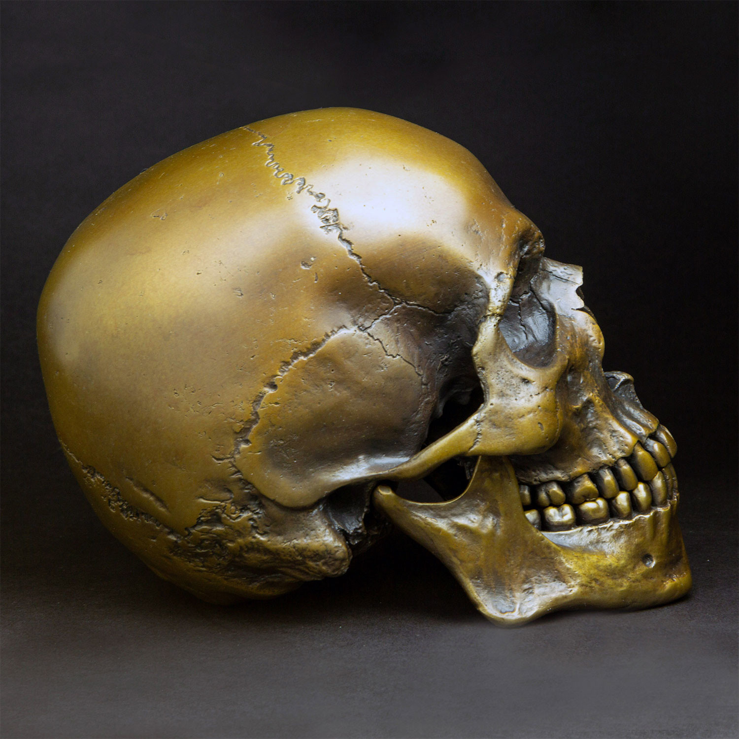 Human Skull // Antique Bronze - Raven Armoury - Touch of Modern