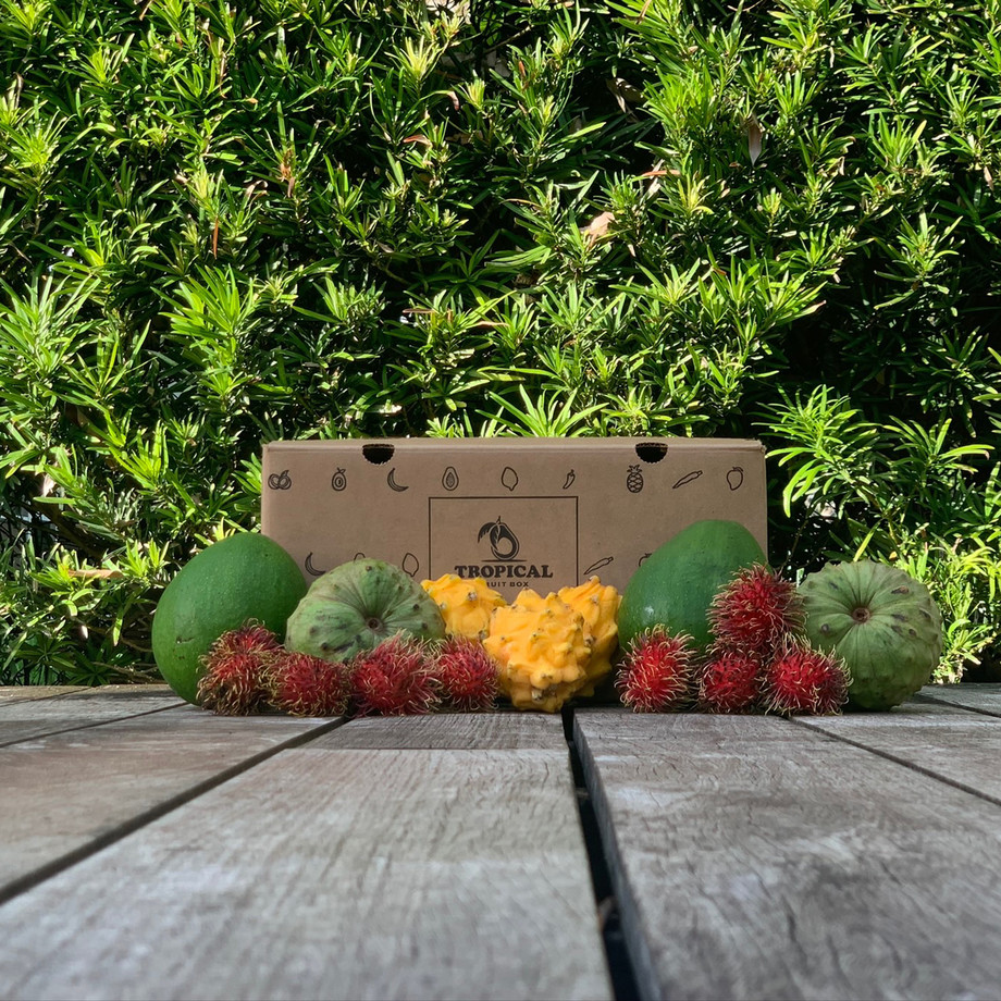 Tropical Fruit Box - Fresh Tropical Fruit - Touch of Modern