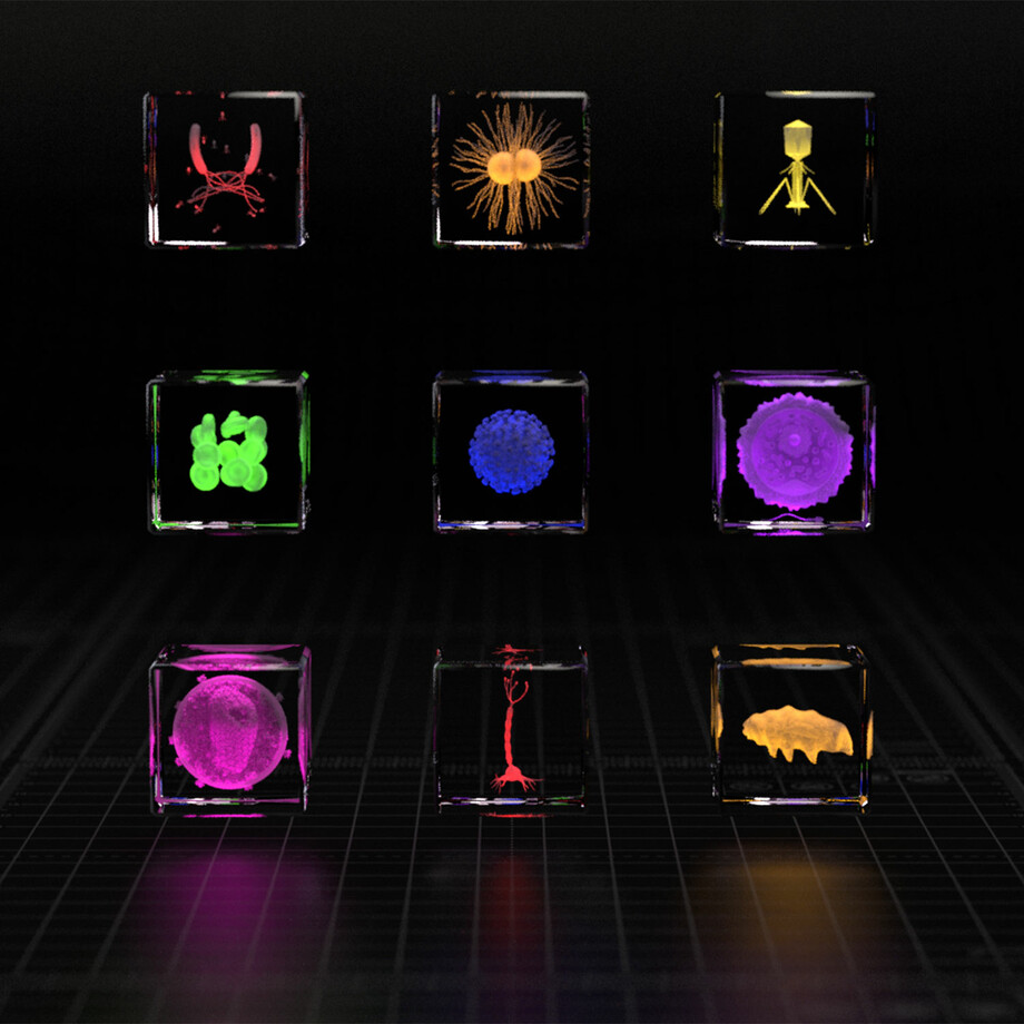 Cinks-Labs - LED Cosmic Displays - Touch of Modern