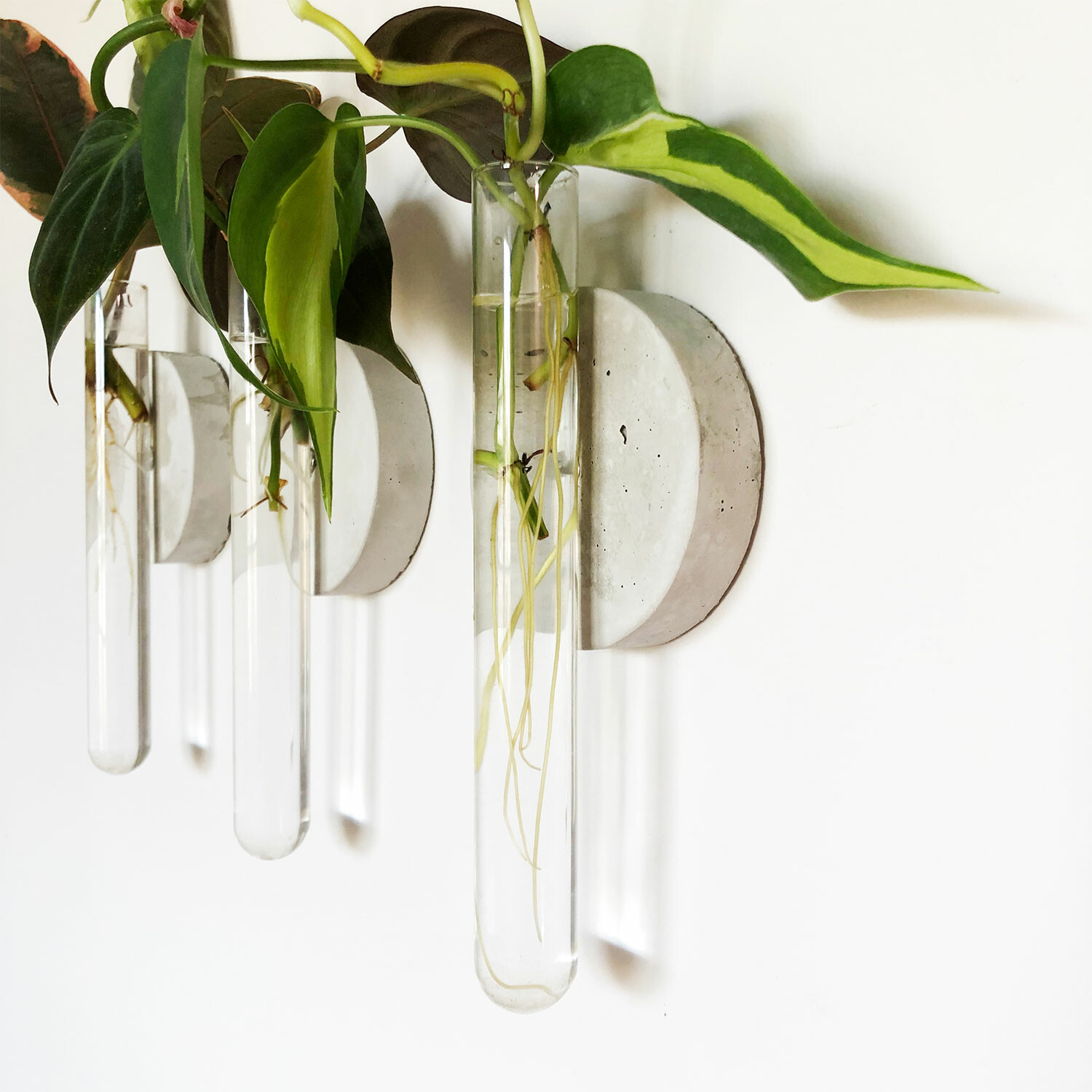 The Magnetic Propagation Set // Deluxe (Set of 3) - Iron & Sprout ...