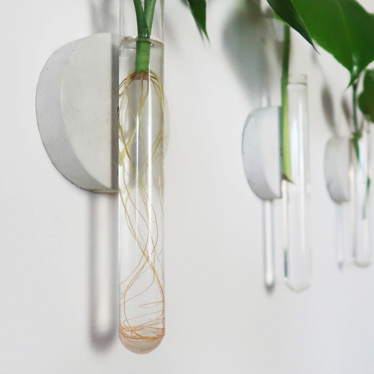 The Magnetic Propagation Set // Deluxe (Set of 3) - Iron & Sprout ...