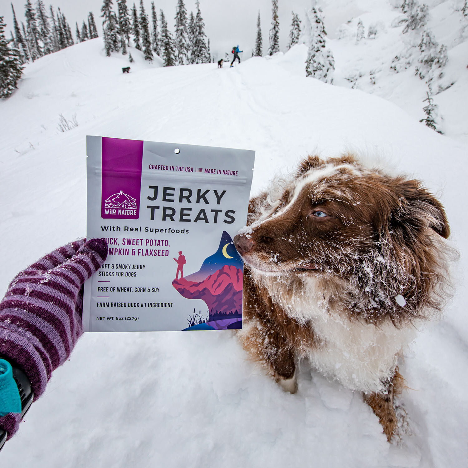 Duck Jerky Superfood Treats // Set of 4 // 8 oz Each - Wild Nature ...