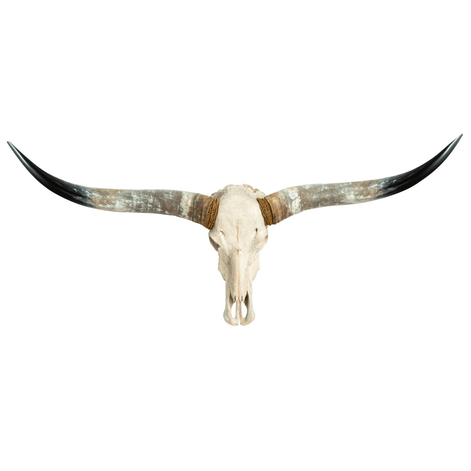 Skull Bliss - Intricately Hand-Carved Skulls - Touch of Modern