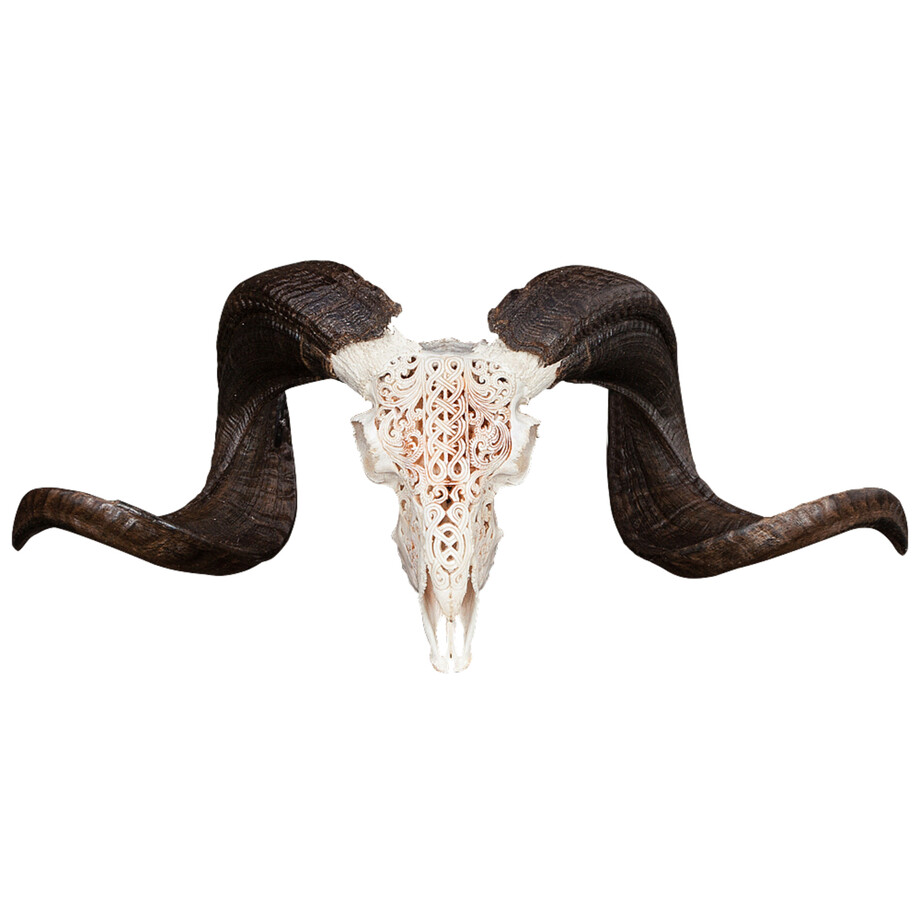 Skull Bliss - Intricately Hand-Carved Skulls - Touch of Modern