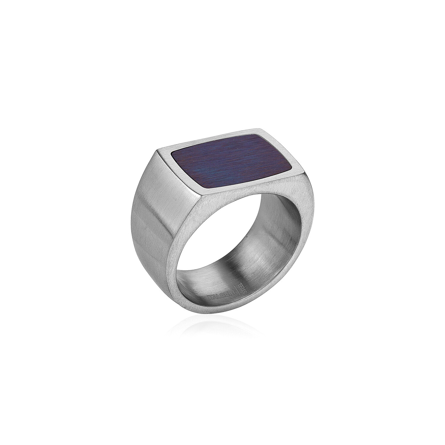 Stainless Steel Brushed Titanium Heated Signet Ring (12) - ITALGEM ...