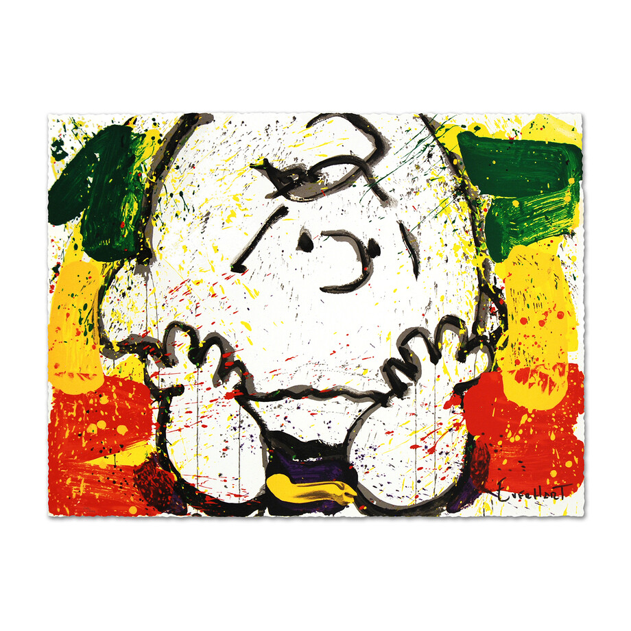 Tom Everhart - Limited Edition Peanuts Lithographs - Touch of Modern