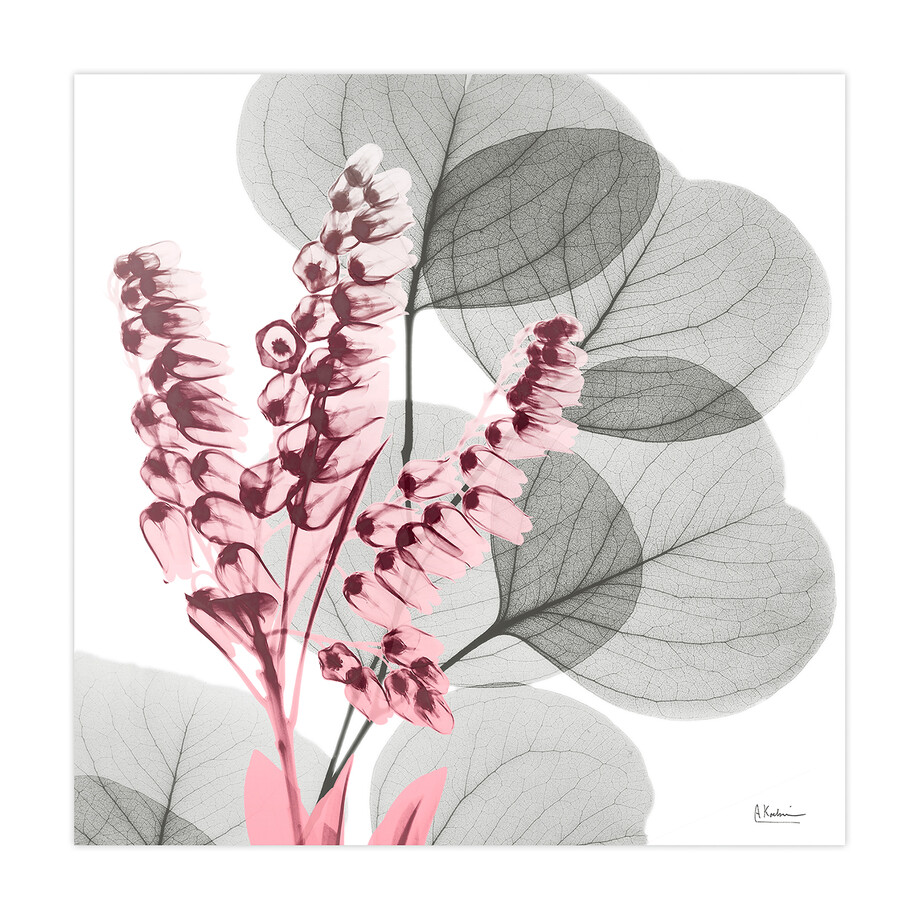 Albert Koetsier - Radiographic Tempered Glass Art - Touch of Modern