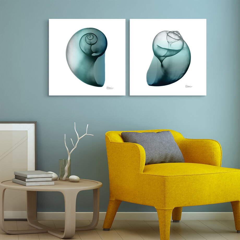 Albert Koetsier - Radiographic Tempered Glass Art - Touch of Modern